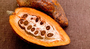 Genetic characterization – Bioscience